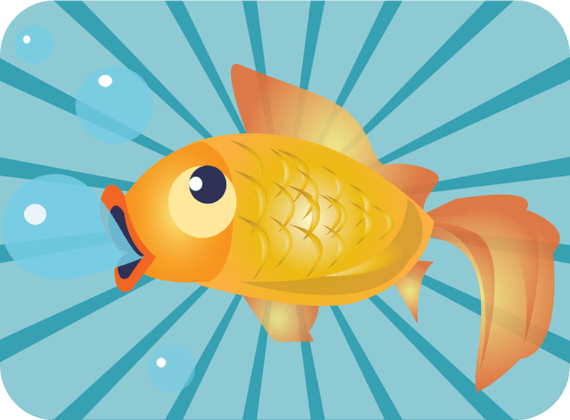 Alles over de goudvis | petnews‎.nl